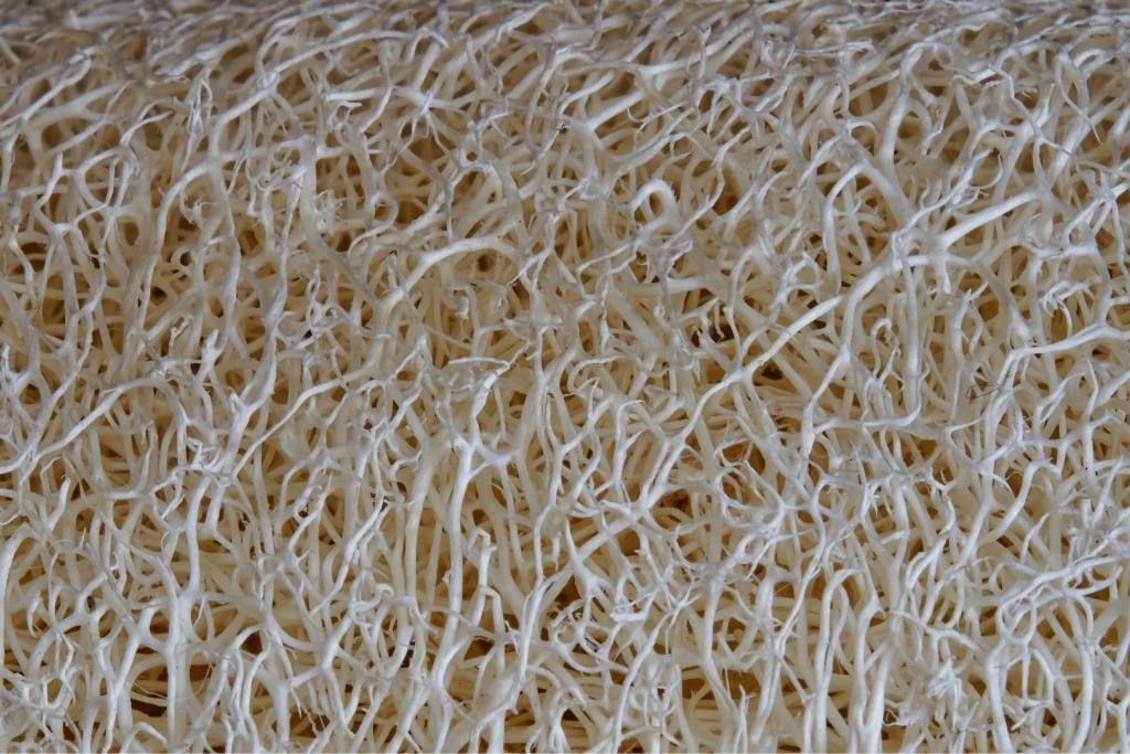 Color Fastness To Rubbing/Crocking Test Method